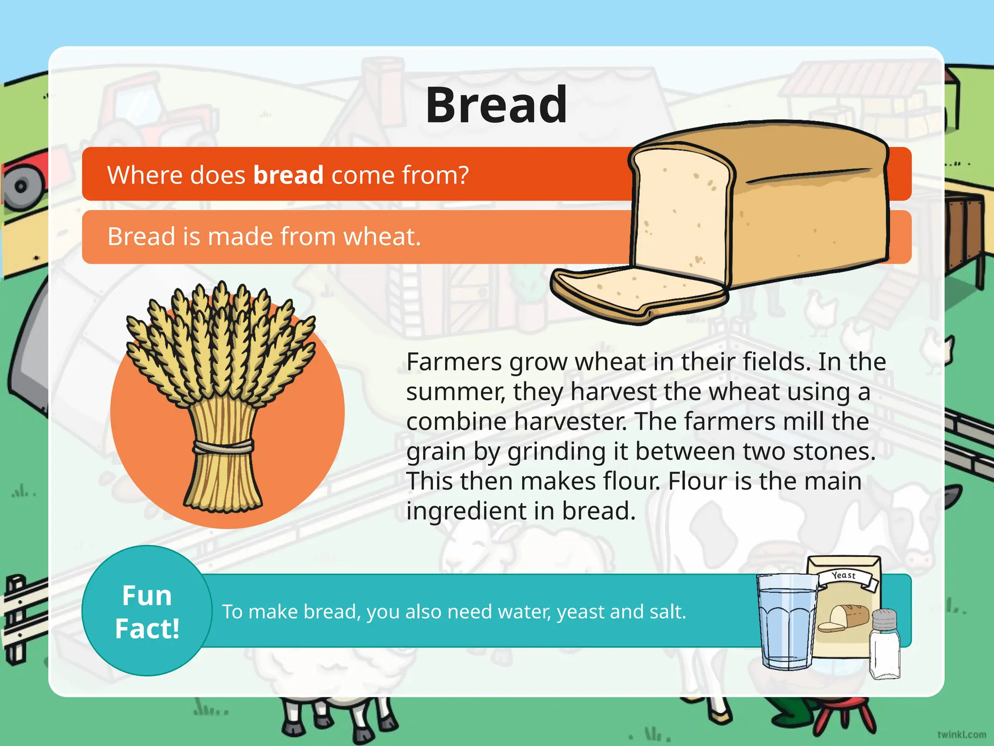 t-tp-69791-where-does-food-come-from-powerpoint_ver_1.pptx