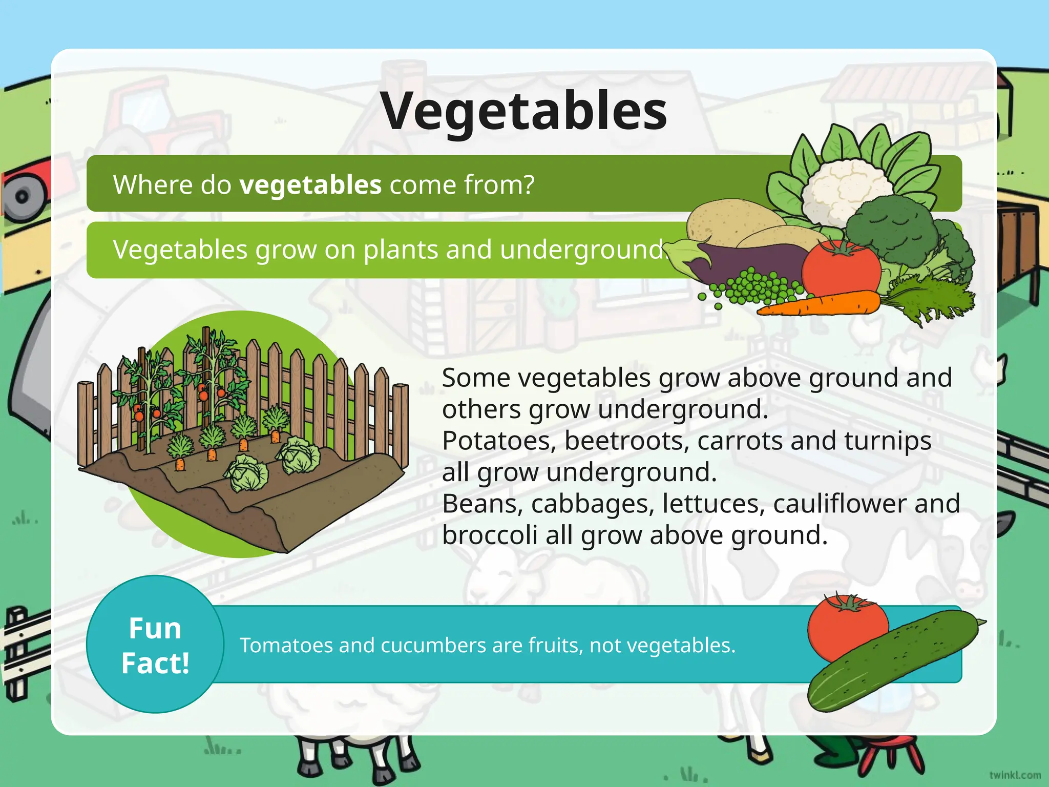 t-tp-69791-where-does-food-come-from-powerpoint_ver_1.pptx