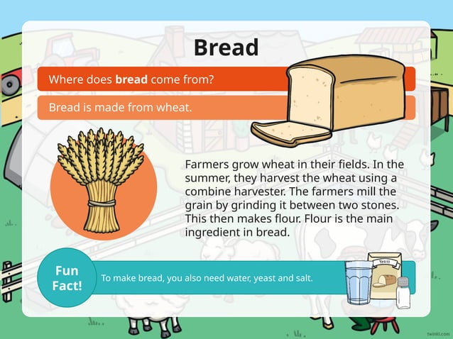 t-tp-69791-where-does-food-come-from-powerpoint_ver_1.pptx