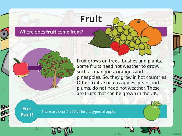 t-tp-69791-where-does-food-come-from-powerpoint_ver_1.pptx