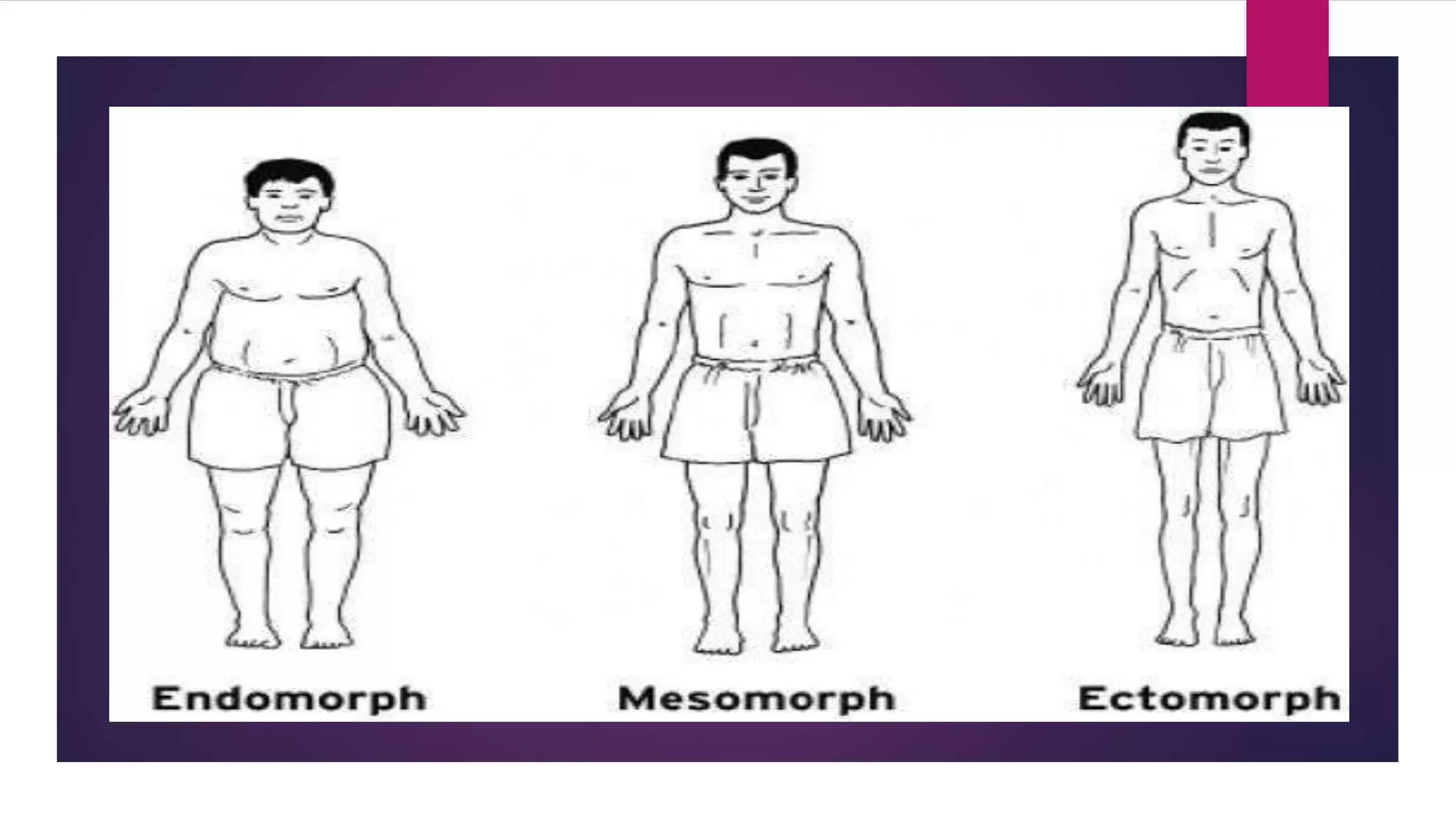 T - Types of Body | PPT
