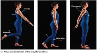 T - Types of Body Movements | PPT