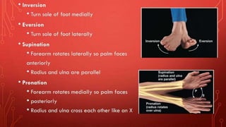 T - Types of Body Movements | PPT