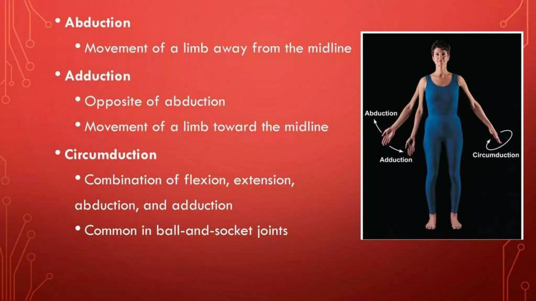 T - Types of Body Movements | PPT