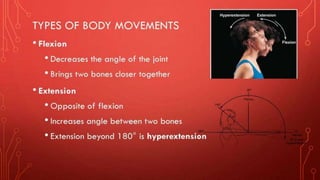 T - Types of Body Movements | PPT