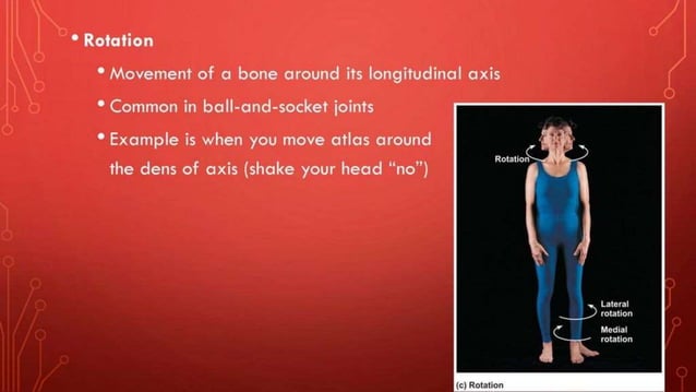 T - Types of Body Movements | PPT