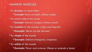T - Types of Body Movements | PPT