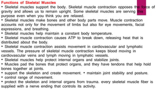 T - Types of Muscle | PPTX