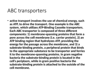 Share_Uptake_of_nutrients by bacteria.pptx