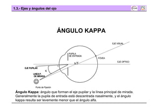 T1.Introduccion_a_la_optica_ocular_OCW.pdf