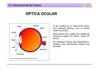 T1.Introduccion_a_la_optica_ocular_OCW.pdf