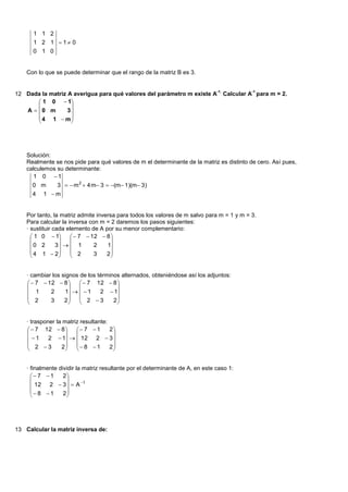 T1 matriz inversa | PDF