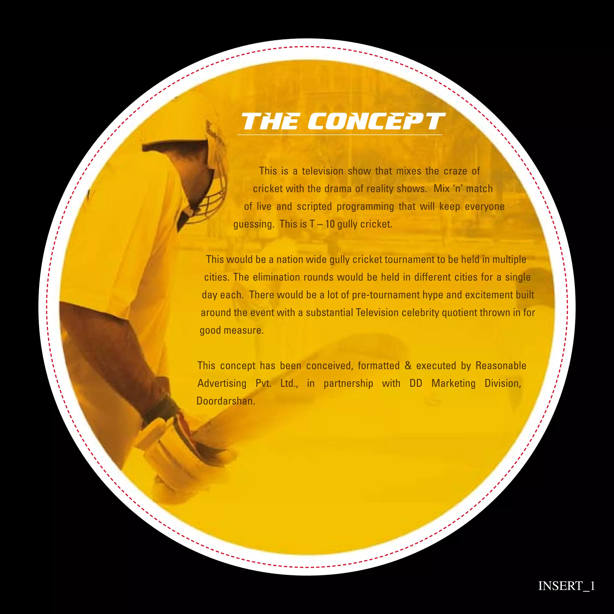 T 10 Gully Cricket Brochure | PDF