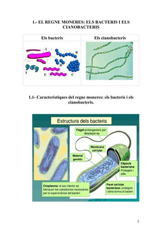 Caracteristicas de los reinos de seres vivos.pdf