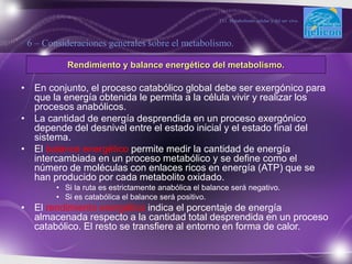 T11 - Metabolismo celular y del ser vivo. | POTX