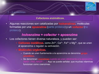T11 - Metabolismo celular y del ser vivo. | POTX