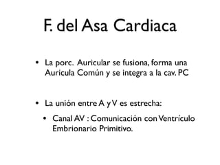 Embriología del Sistema Cardiovascular | KEY