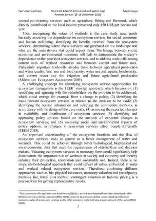 T12 majdi gouja nena exec summary | PDF