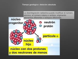 Datación absoluta | PPTX