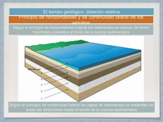 El tiempo geologico y la datación relativa | PPTX