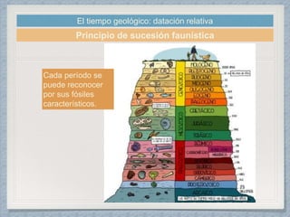 El tiempo geologico y la datación relativa | PPTX