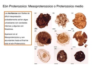 La Tierra en el Proterozoico | PPTX