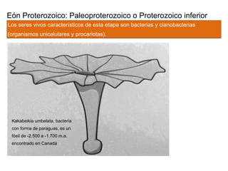La Tierra en el Proterozoico | PPTX