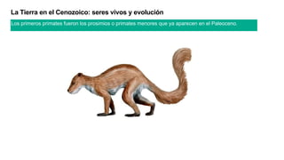 Los seres vivos en el Cenozoico | PPTX