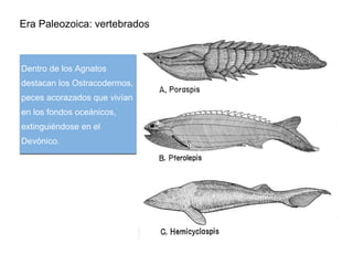 Vertebrados en el paleozoico | PPTX
