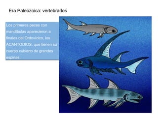 Vertebrados en el paleozoico | PPTX