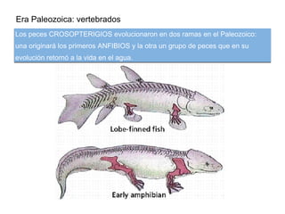 Vertebrados en el paleozoico | PPTX