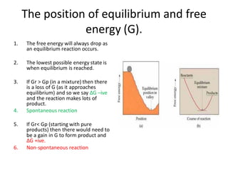 T17 IB Chemistry Equilibrium | PPT
