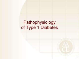Patofisiologi Diabetes Mellitus Tipe Satu | PPT