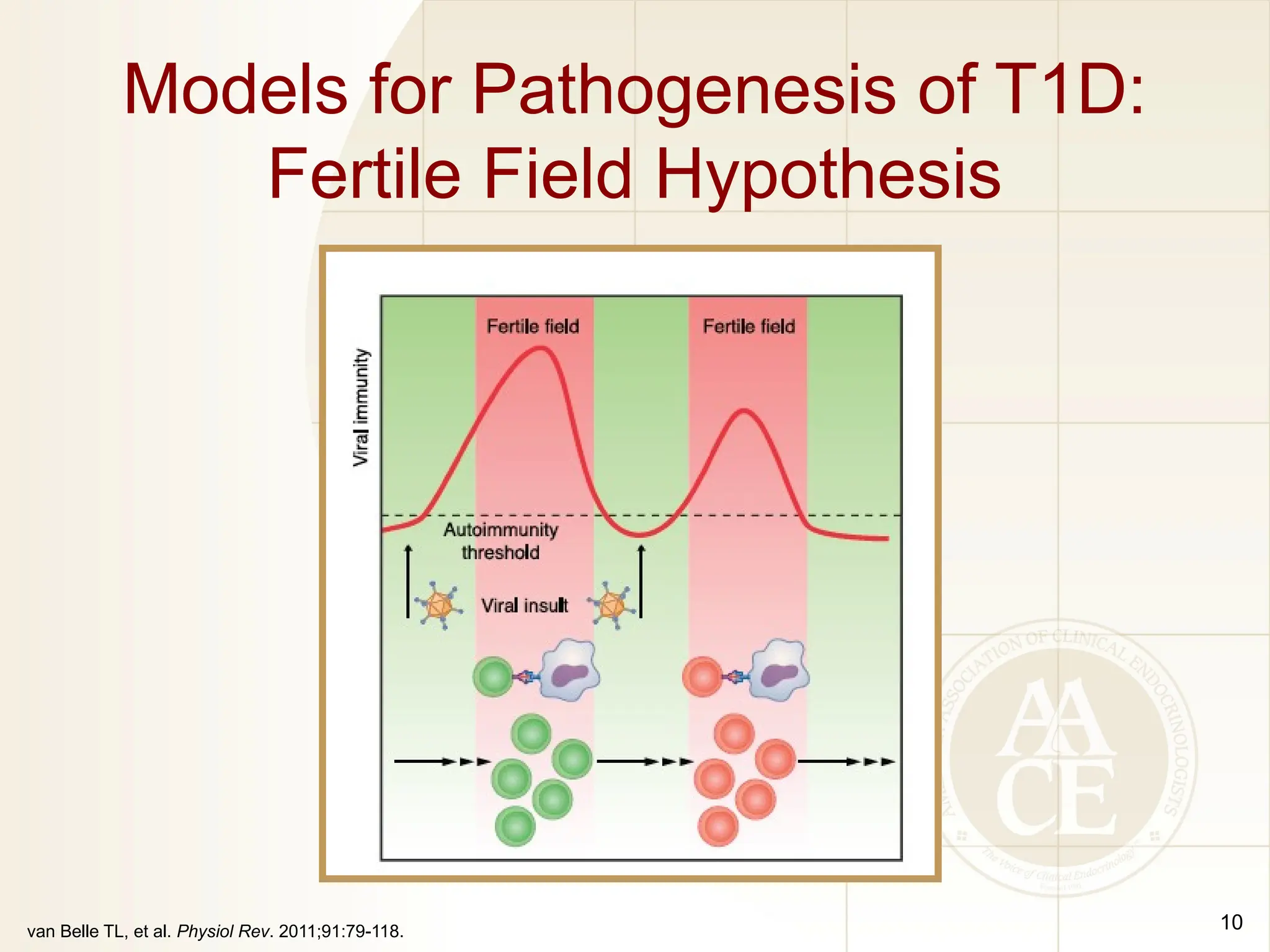 T1D-S2-Pathophysiology.038497030617.pptx