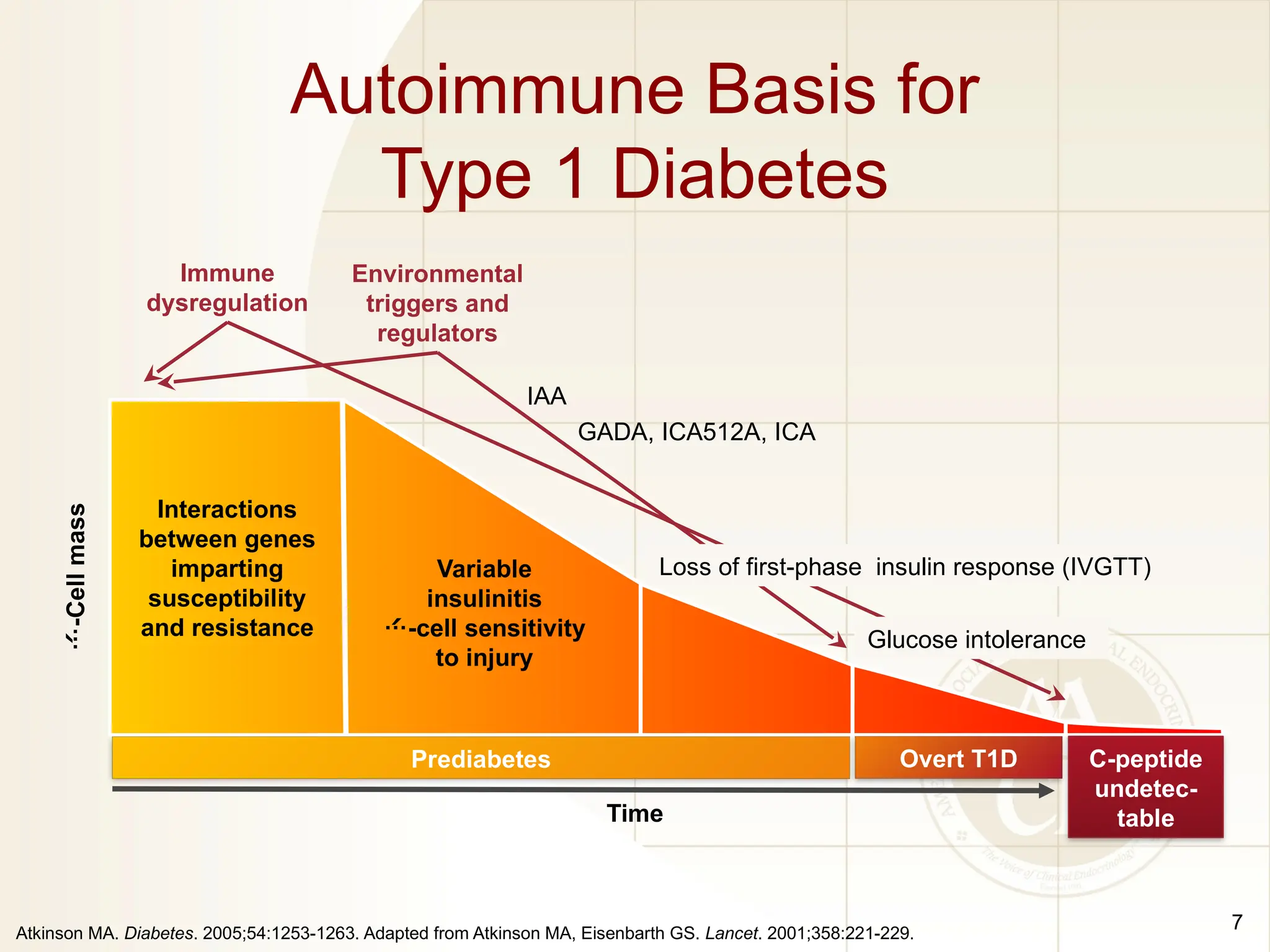 T1D-S2-Pathophysiology.038497030617.pptx
