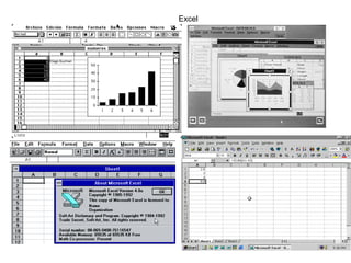 T1 e1 salinasquiles(conweb) | PDF