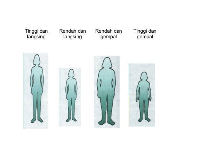T1 Pemilihan Pakaian