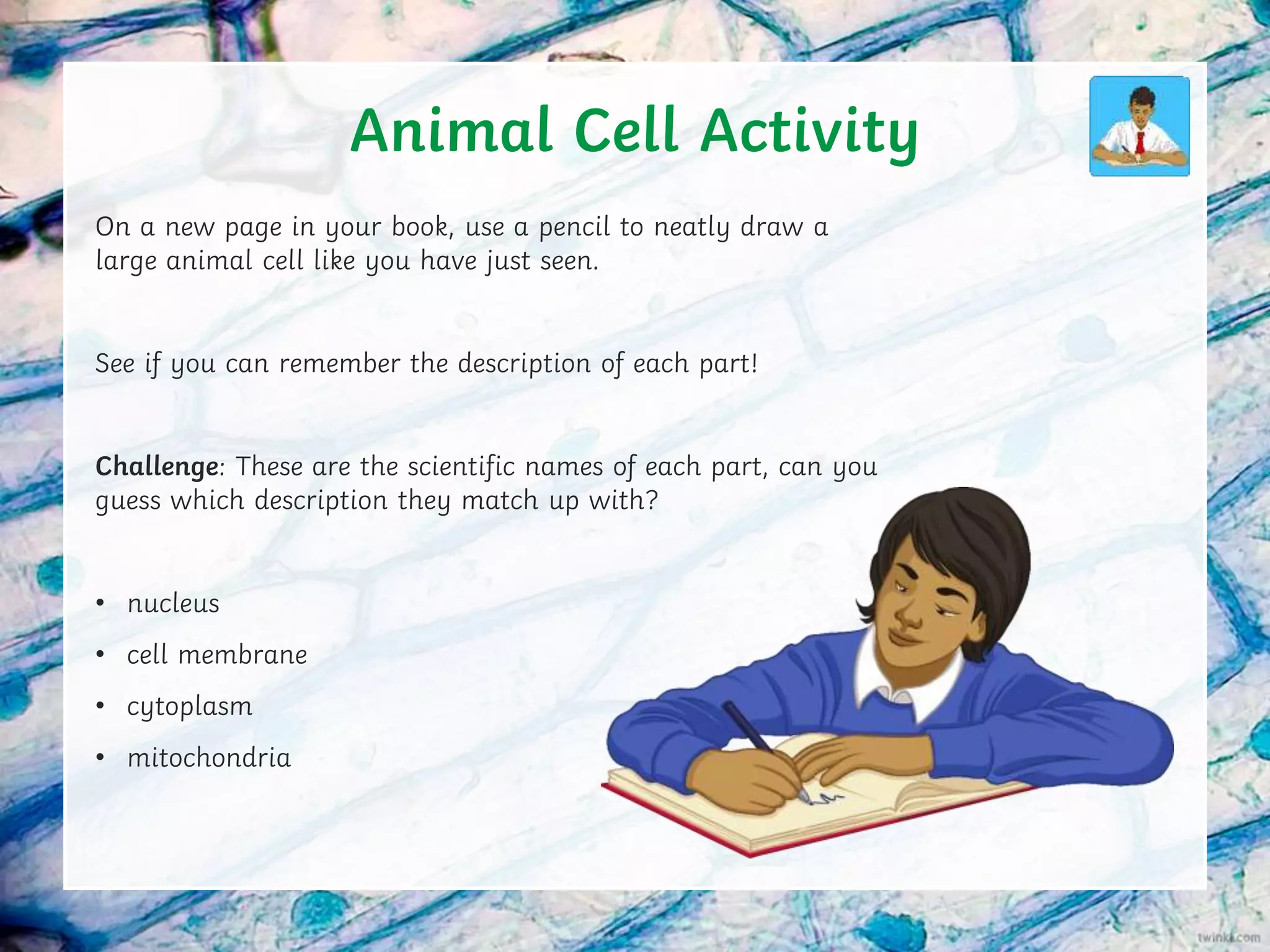 T1 T2 Cells and Organisation Lesson 2 - Animal and Plant Cells ...