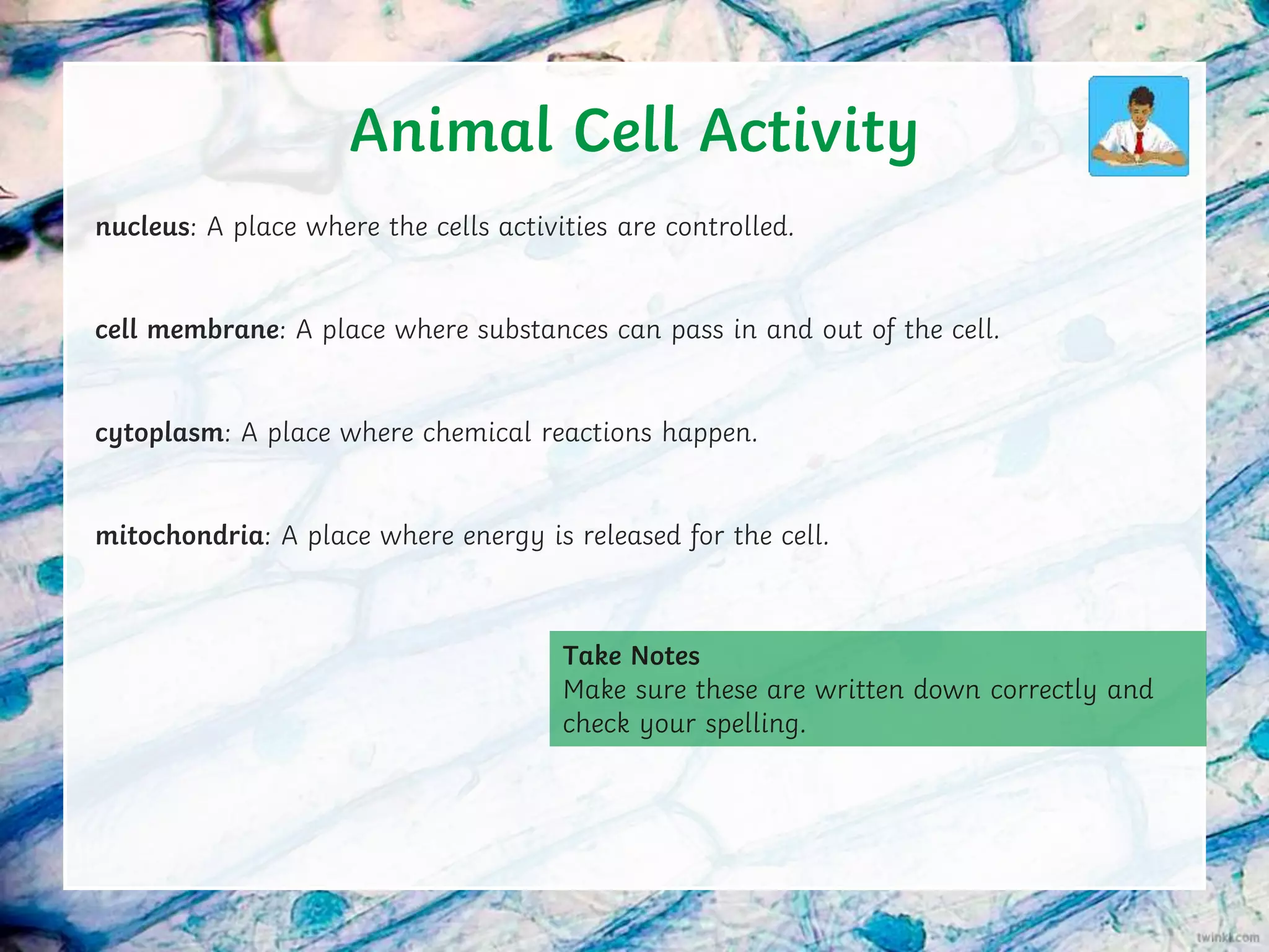T1 T2 Cells and Organisation Lesson 2 - Animal and Plant Cells ...
