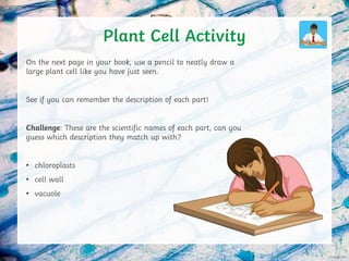 T1 T2 Cells and Organisation Lesson 2 - Animal and Plant Cells ...