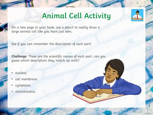 T1 T2 Cells and Organisation Lesson 2 - Animal and Plant Cells ...