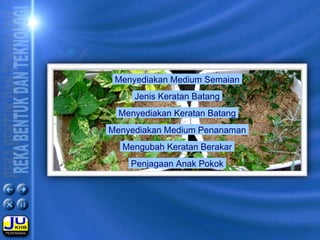 T1-Bab6-Tanaman Hiasan | PPT