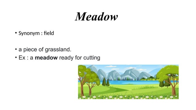 Some brand new vocabulary words to be used in class.pptx