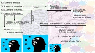 T 2 Atención, memoria y aprendizaje | PDF
