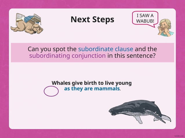 t2-e-3165-subordinating-conjunctions-ks2-what-is-a-subordinating ...