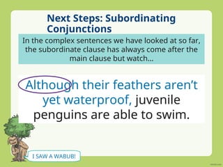 t2-e-3181-multiclause-sentences-ks2-what-is-a-complex-sentence ...