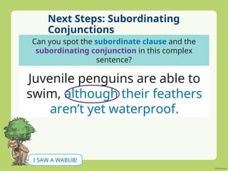 t2-e-3181-multiclause-sentences-ks2-what-is-a-complex-sentence ...
