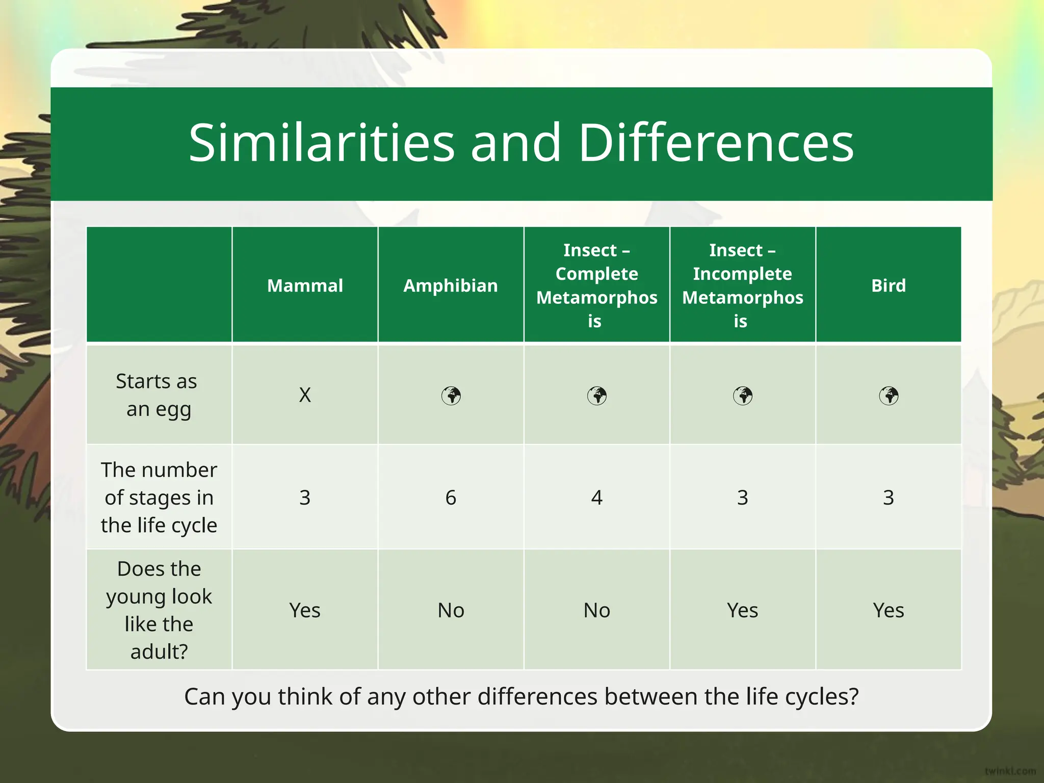 life-cycles-mammals-amphibians-insects-and-birds- | PPTX