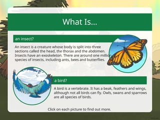 life-cycles-mammals-amphibians-insects-and-birds- | PPTX