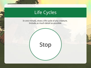 life-cycles-mammals-amphibians-insects-and-birds- | PPTX